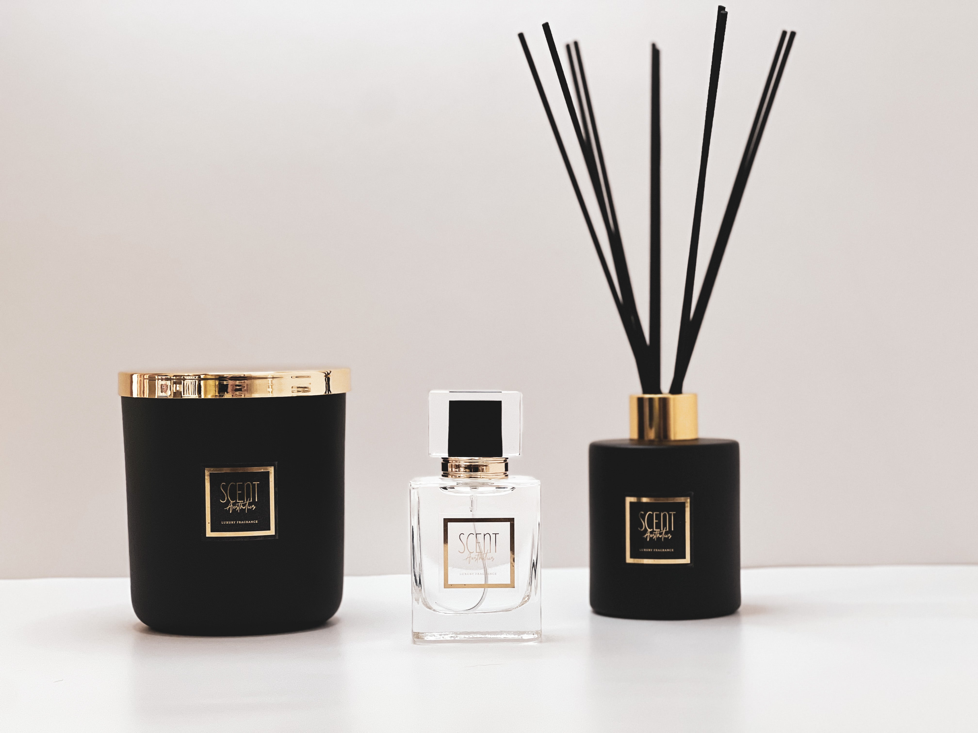 The Mod Collection – Scent Aesthetics